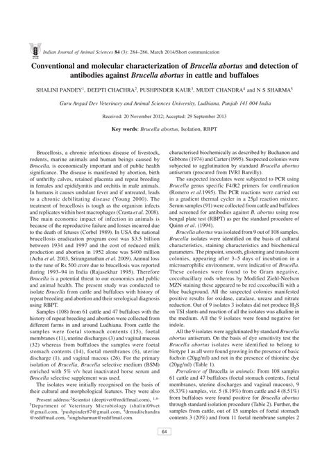 Pdf Conventional And Molecular Characterization Of Brucella Abortus And Detection Of