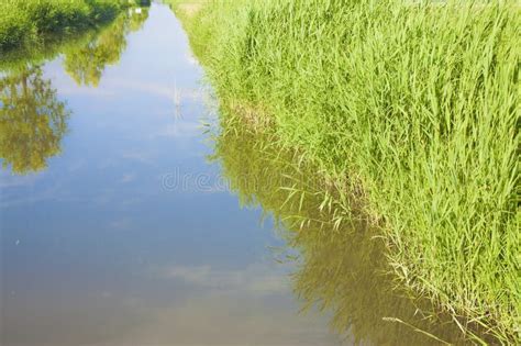 Rural Landscape With Ditch Green Grass And Water Image With