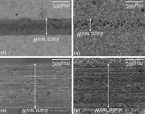 Sem Micrographs Of Top Surfaces Of The A Polished Specimen P