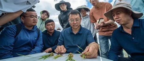 张福锁院士：牵头“科技小院”，致力科技报国农业团队绿色
