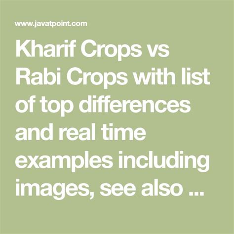 Kharif Crops Vs Rabi Crops Whats The Difference Javatpoint