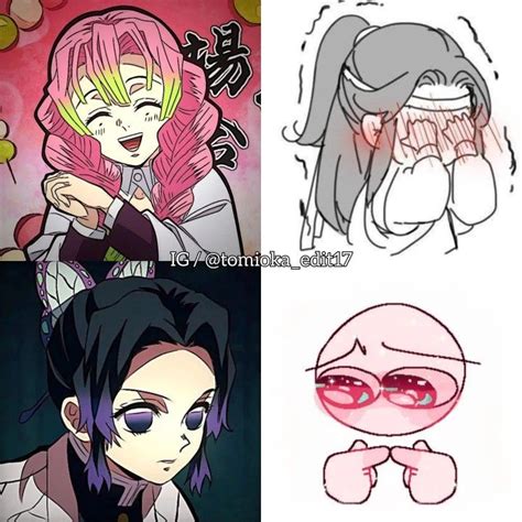 Mitsuri Kanroji And Shinobu Vrogue Co