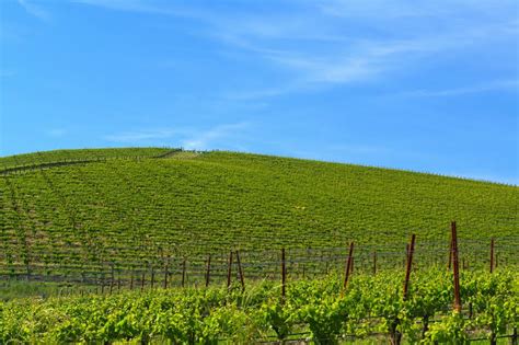 Безмятежность Windows Xp Leadingrecipes