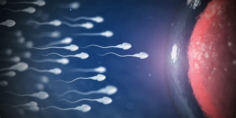7 Proven Ways To Increase Male Fertility Ultracorepower