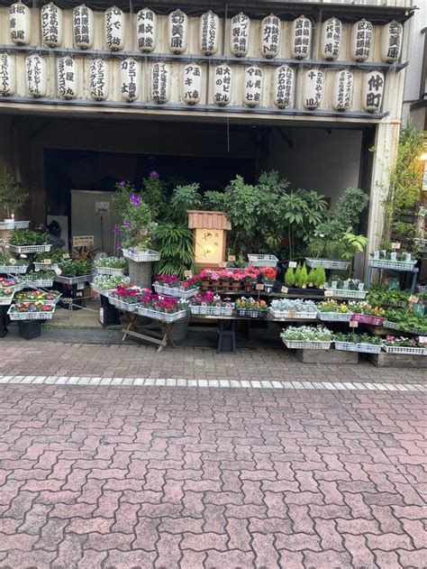 花の店やや 大田区大森本町園芸用品店 Yahooマップ