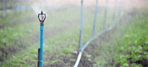 Irrigation Scheduling Using Evapotranspiration Data Cropaia