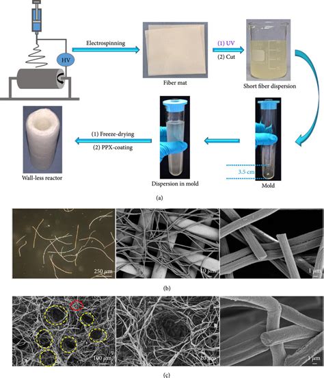 Concept For The Superhydrophobic Porous Reaction Container A