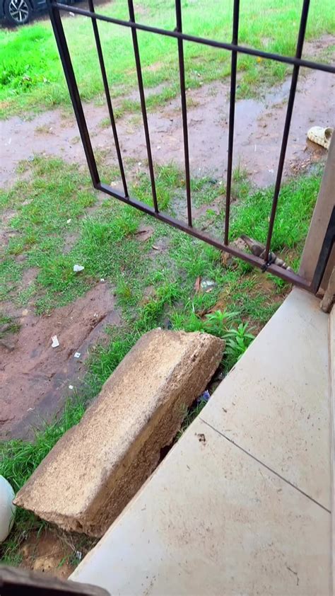 Sizwe Mdlalose Backup Sizwe Mdlalose Ba S Videos With Original Sound Sizwe Mdlalose Backup