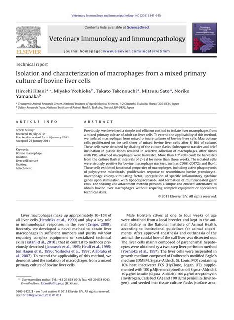Pdf Isolation And Characterization Of Macrophages From A Mixed Primary Culture Of Bovine Liver