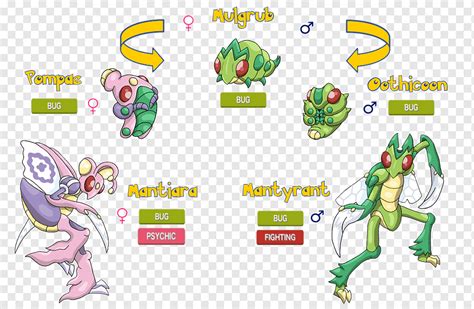 Evrim Scizor Grafik Cacnea Scyther Roselia Metin Di Erleri Omurgal