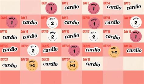 Cardio Circuit Training Workout Plan Wiring Flow Schema