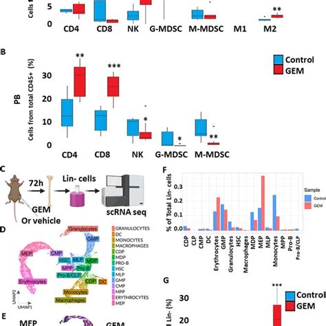 Megakaryocyte Erythroid Progenitors Directly Directly Induce Tumor Cell