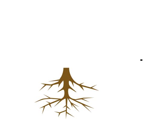 Tree Root Font Cliparts Co