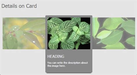 Hot CSS Image Hover Scripts IDevie Hot CSS Image Hover Scripts IDevie