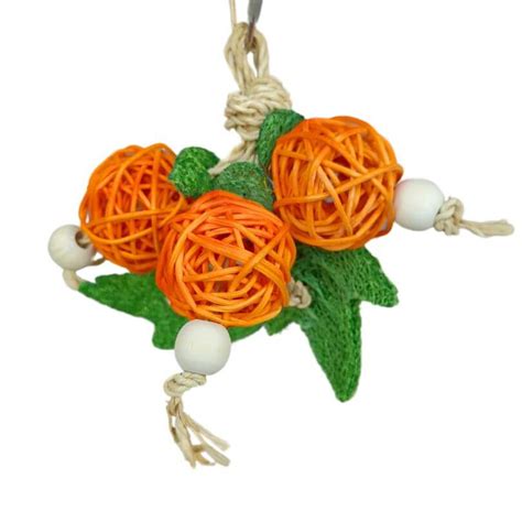 Budget Range Queenslander Aviaries