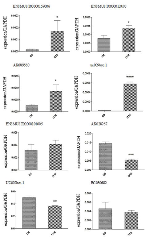 validation of lncrna microarray data using real time rt pcr the