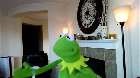 Kermit The Frog Lifetime Youtube