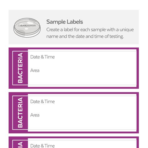 Bacteria Testing Guide Immunolytics