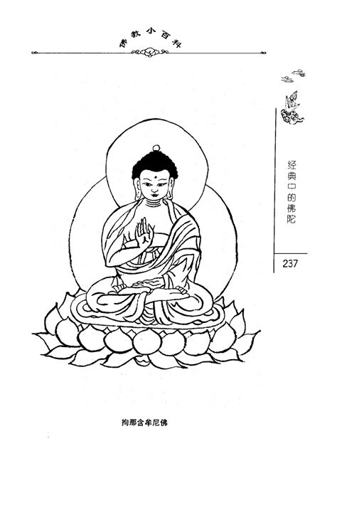 佛教小百科集一辑01佛菩萨的图像解说（一）总论·佛部中国社会科学出版社（pdf转图片）咒符手印 第243页 大咒仙 妙音网络