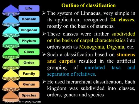 Artificial Classification System Caroluslinneaus 200413113450pdf