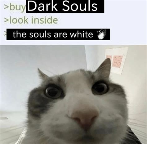 A Glaring Plot Hole Dark Souls Know Your Meme