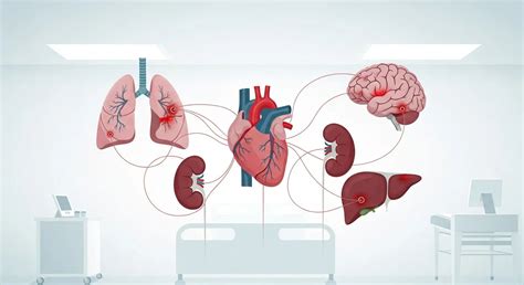 Mods Causes Symptoms And Treatments Explained
