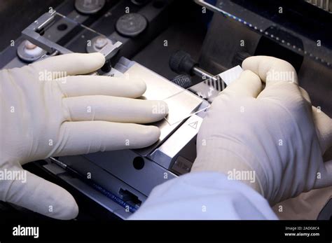 Biological Research Researcher Preparing Frozen Cell Samples Stored In