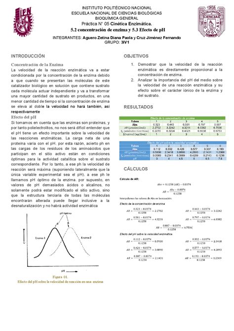 Informe Del Efecto De Ph Y Concentración De Enzima Ejercicios De
