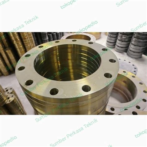 Jual Flange Besi JIS 10K 10 Inch DN 250 Flange CS JIS 10K