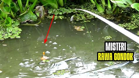 GEMPAR Pemancing Liar Merinding Melihat Ikan Sebesar Besar Ini Di