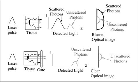 Optical Imaging Through A Highly Turbid Media Such As Biological Tissue Download Scientific