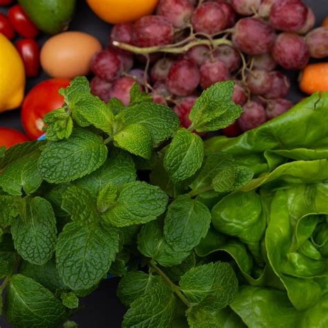 Fodmaps Fermentation And Digestive Health Holistic Nutrition Therapy