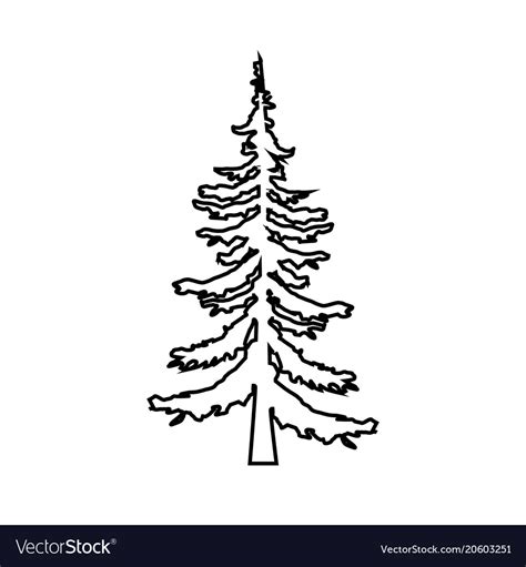 Pine Tree Printable