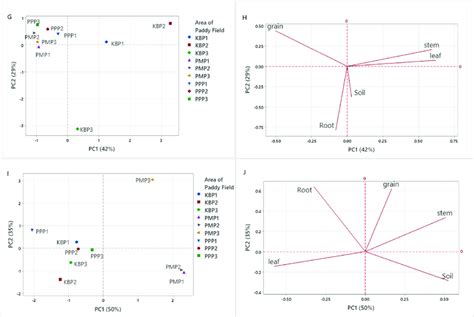 Pca Score And Loading Plots Showing The Clustering Pattern Of Different