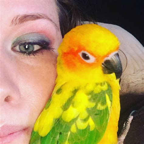 Favorite Snuggle Bug Dont Tell The Other Conures Scrolller