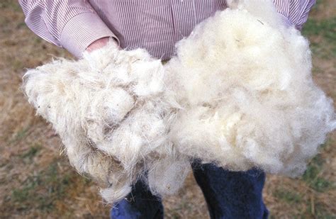 Wool Types What Are They And What Do They Mean Biddy Murphy Irish Ts