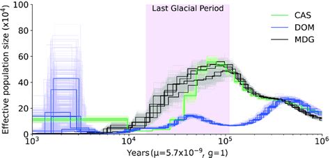 Psmc Plot Of M Musculus Green Blue And Black Lines Represent The Download Scientific Diagram