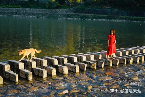 江浙沪三天两夜自驾游去哪旅游好为你推荐浙南美丽小镇仕阳 知乎
