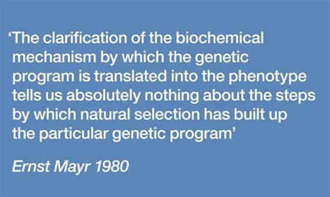 About The Ees Extended Evolutionary Synthesis