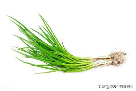 經方中醫程醫生三部六病版傷寒論今釋白通湯證之第314條 每日頭條