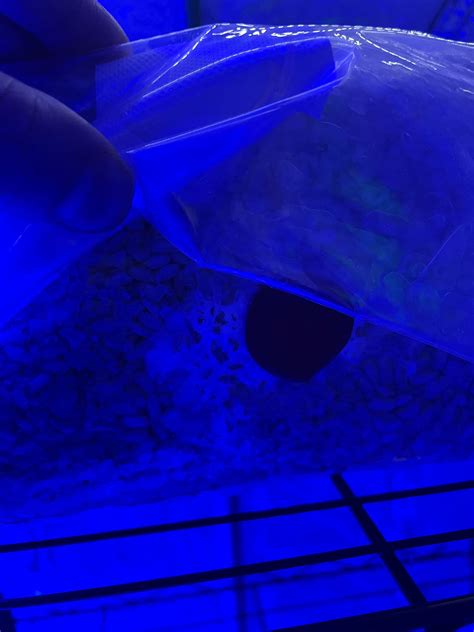 Actives Are My Spawn Blocks Too Densely Packed Rmushroomgrowers