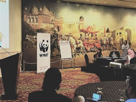 Arbaz Adil On Linkedin Wwf Netzero Sbti Sustainability Compliance