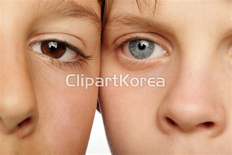 해외작가포토 클립아트코리아 통로이미지주