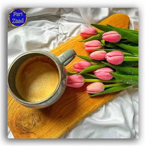 گهی عاقل تر از عاقل ، گهی نادان تر از نادان عکس ویسگون