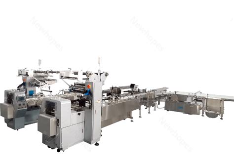 Infeed System Packaging Machinery Manufacturer Newhopes
