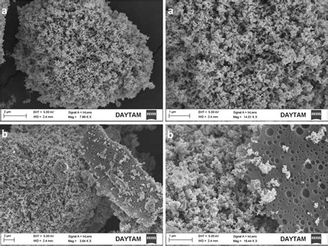 A Zno Nps Sem Image 2 1 µm B Enzyme Znonps Sem Image 2 1 µm