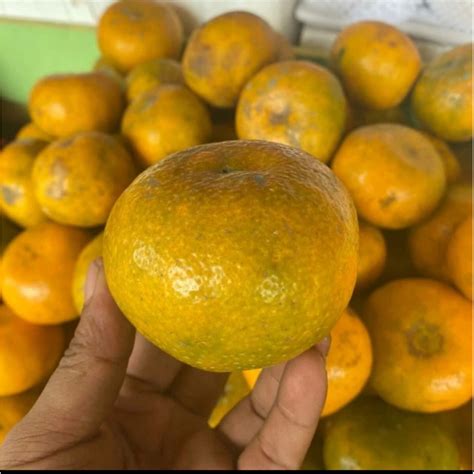 Jual Buah Jeruk Medan Manis Grosir 6kg 10 Kg Dan 20 Kg Buah Lokal
