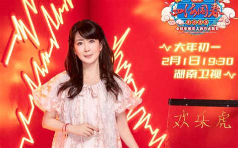 【孟庭苇】大年初一2月1日晚1930相约湖南卫视全球华侨华人春晚哔哩哔哩bilibili
