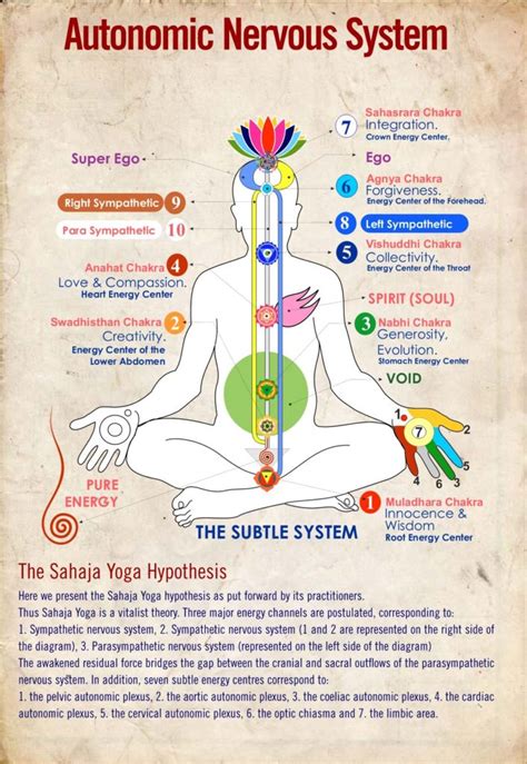 Autonomic Nervous System Chakras And Corresponding Plexuses Spreading Sahaja Yoga Autonomic Nervous System Chakras And Corresponding Plexuses Spreading Sahaja Yoga