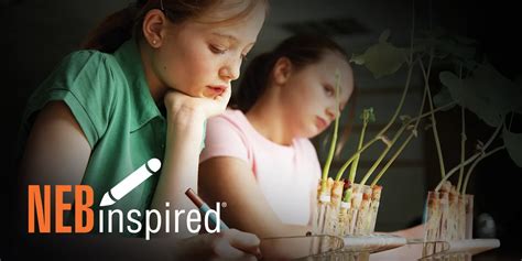 Shaping Scientific Access And Equality Neb